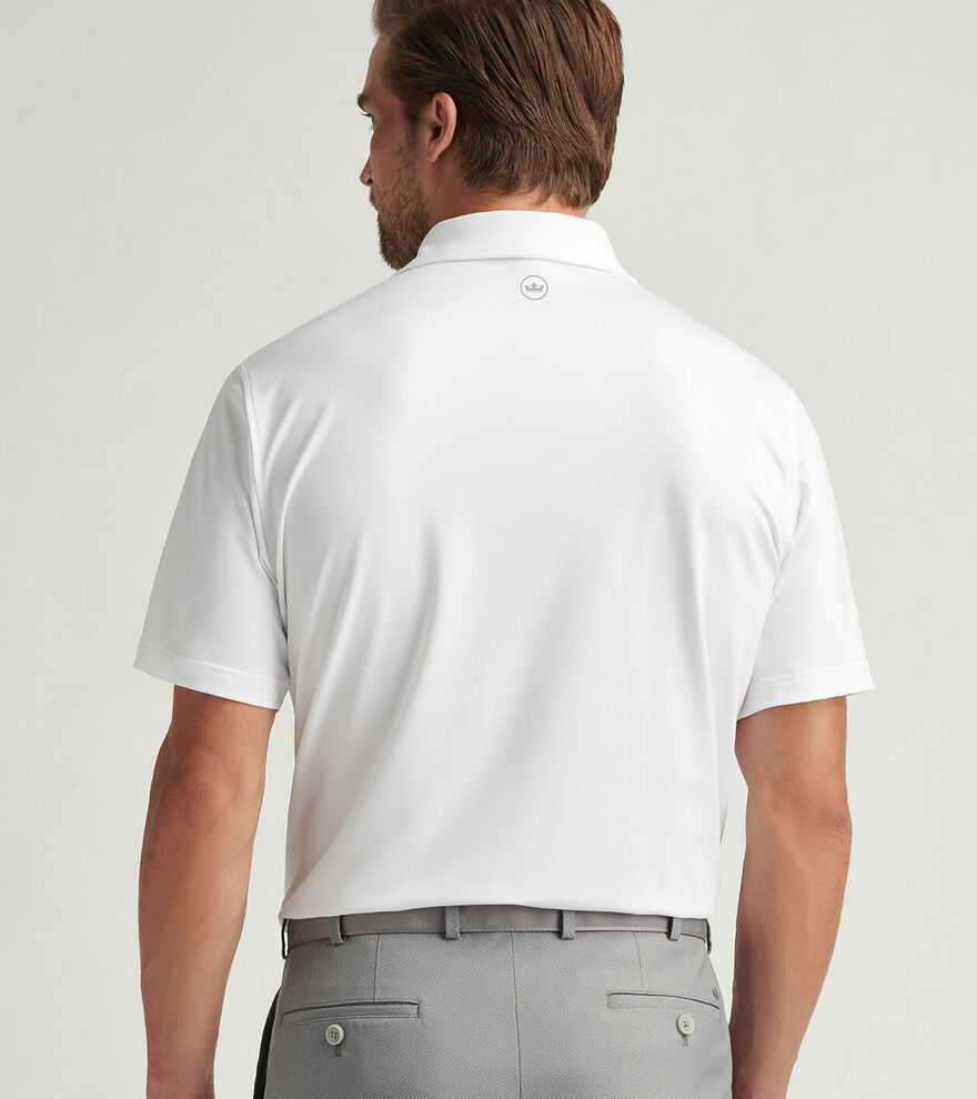 Solid Performance Jersey Polo (Sean Self-Collar) | Men's Polo Shirts ...
